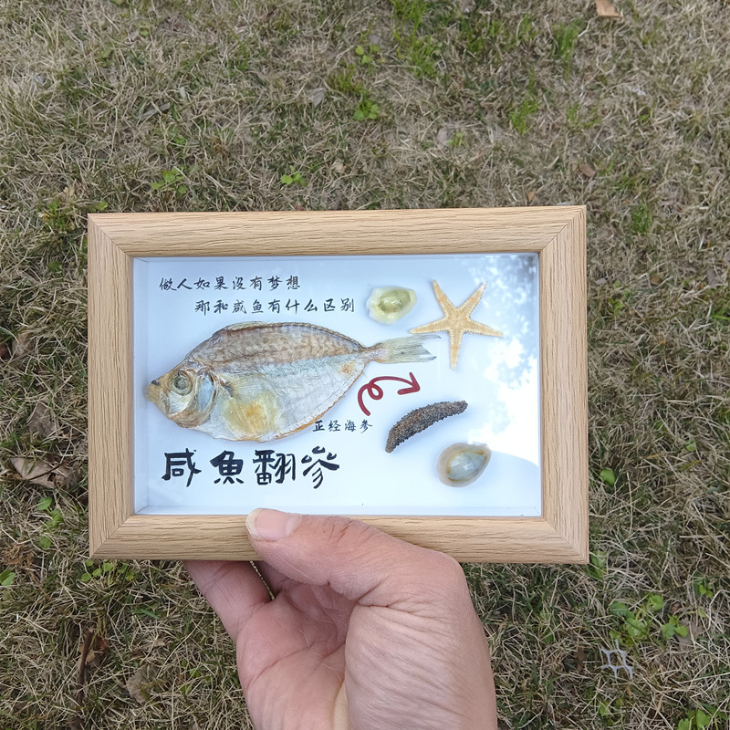 天然海螺贝壳相框咸鱼翻身相册摆件文创礼品伴手礼家居装饰品