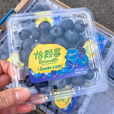 云南怡颗莓蓝莓当季新鲜水果L25大果18mm孕妇脆甜水果顺丰北京发