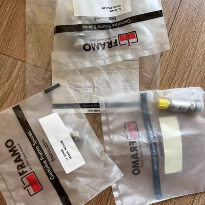 FRAMO压力探头 A35485