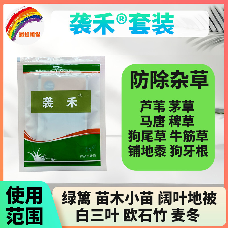 袭禾绿篱苗木圃红叶石楠金边黄杨欧石竹除茅草芦苇牛筋草除草剂