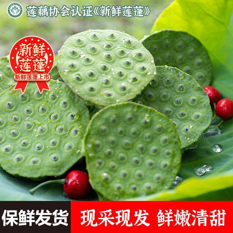 洪湖新鲜莲蓬现摘莲蓬3斤甜嫩生吃莲蓬孕妇水果即食莲子顺丰包邮