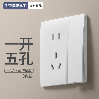TEP国际电工奶油白单控开关