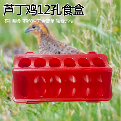芦丁鸡食槽自动喂食器