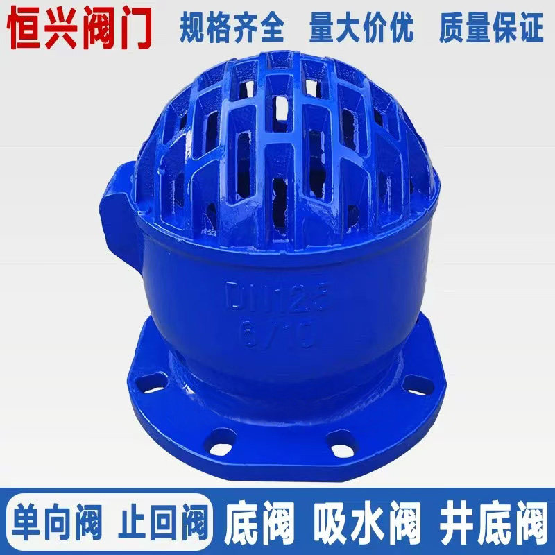 H42X-10/16新型底阀 水泵吸水铸铁法兰底阀DN50 80 100 150 200