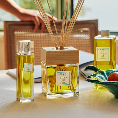 法国进口藤条无火香薰