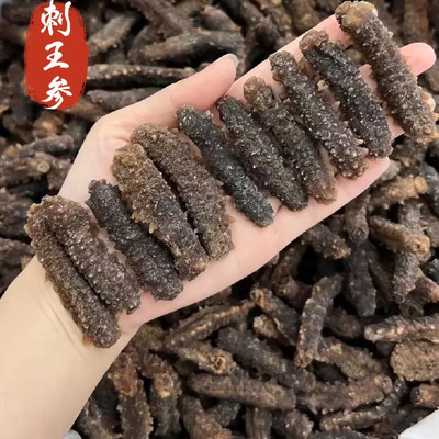 印尼刺王参野生黑刺参小刺黄参黄玉参酒店送礼海参干货非辽参即食