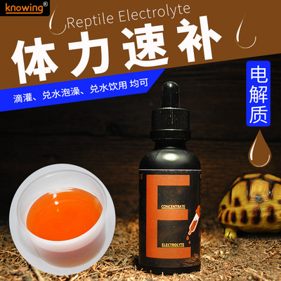 诺茵爬虫电解质液陆龟鬃狮蜥蜴