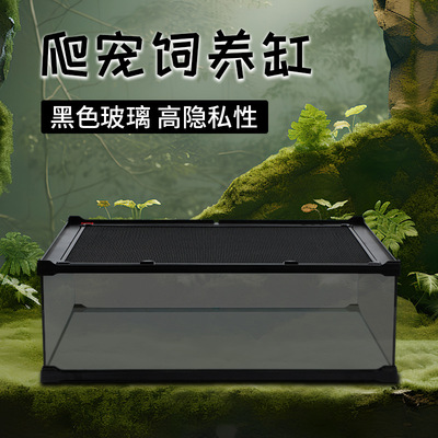 CM隐私爬宠黑玻璃缸角蛙蜘蛛