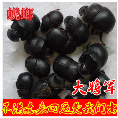 新货 大将军 屎壳郎 蜣螂虫 推粪虫中药材 500g包邮 清水无盐