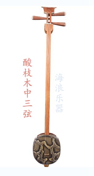 海浪乐器厂家直销正品广东音乐三弦乐器三弦琴专业三弦红木配琴包