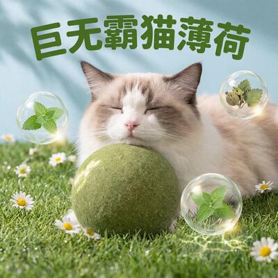 Catnip ball, cat toy to relieve boredom, giant 猫薄荷球玩具