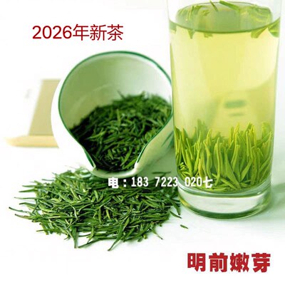 随州茶叶嫩芽尖明前新茶洪山茶