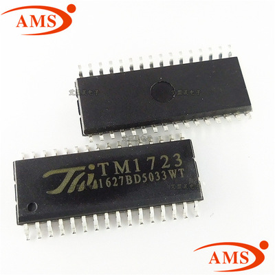 TM1723 TM1723 SSOP32贴片 LED驱动控制芯片 TM天微 全新原装现货