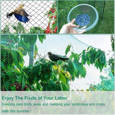 Garden Protective Fencing Mesh Corrosion Resistance