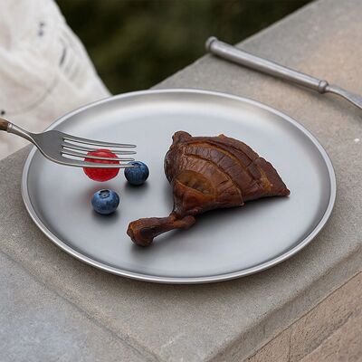 Titanium Purification Plate Portable Travel Tableware
