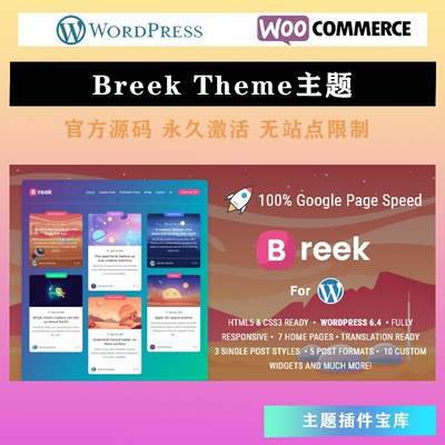 Breek 英文专业版 小巧快速卡片响应式WordPress主题模板