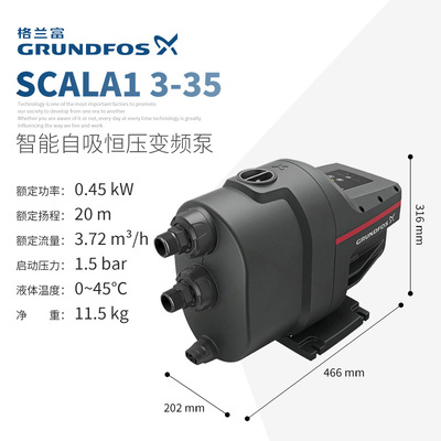 新款水泵SCALA2家用全自