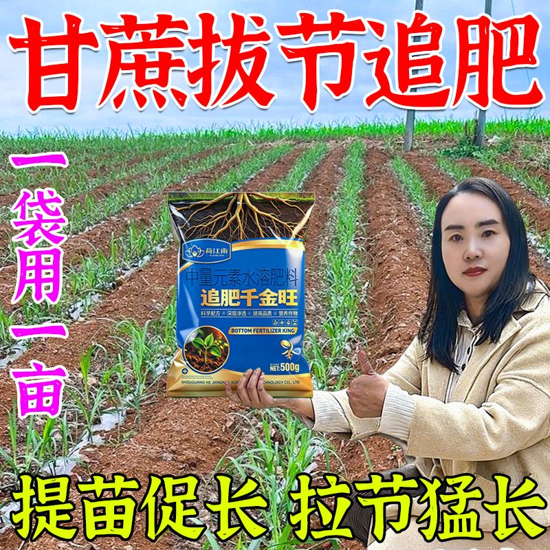 甘蔗追肥宝】甘蔗专用高产追肥增粗增甜拉直拉长茎杆粗壮防裂抗倒