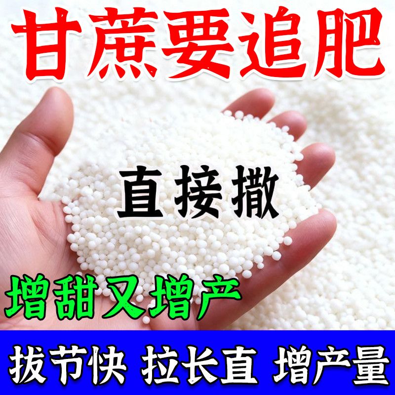 正品甘蔗高产追肥宝【1袋1亩】甘蔗种植改良土壤促进生根全面营养