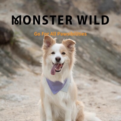 MONSTER WILD Btea系列高阶口水巾狗狗边牧金毛拉布拉多