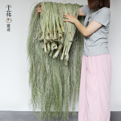 水烛叶丝水蜡叶干花花束垂挂型花艺装置美陈花材装饰材料婚礼装饰