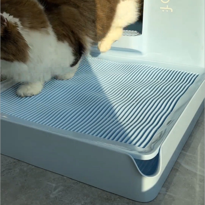 猫砂盆猫砂盆猫咪家用双层猫砂垫防带出防外溅控沙蹭脚控砂台