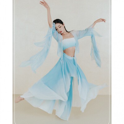 Q3C古典舞服演出套装青鸟舞服蓝