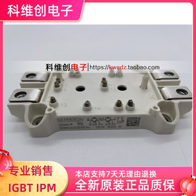 SEMIX202GB12E4SSEMX202GB12E4S