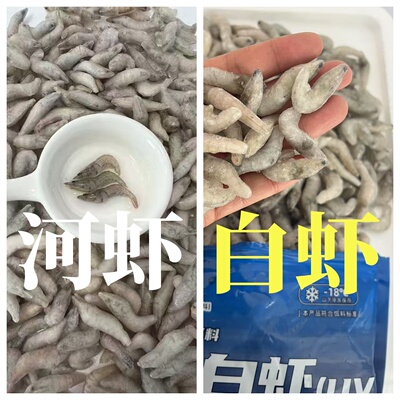 北水单冻河虾泥鳅龙虎魟鱼食饲料