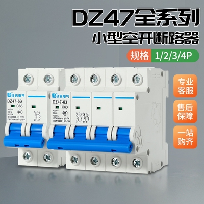 家用小型断路器DZ47 1P2P3P4P空开6A10A16A32A63A保护器空气开关