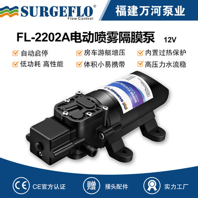 12V24V洗车电动喷雾器水泵高压隔膜泵农业园林喷洒雾化清洗泵