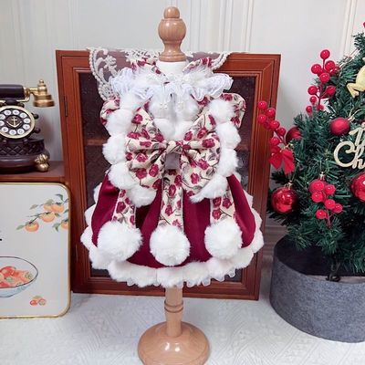 宠物狗狗衣服 加绒加厚冬季防寒保暖公主裙子 宠物博美泰迪小型犬