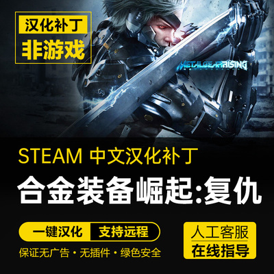 合金装备崛起复仇/Metal Gear Rising简体中文汉化补丁 支持steam