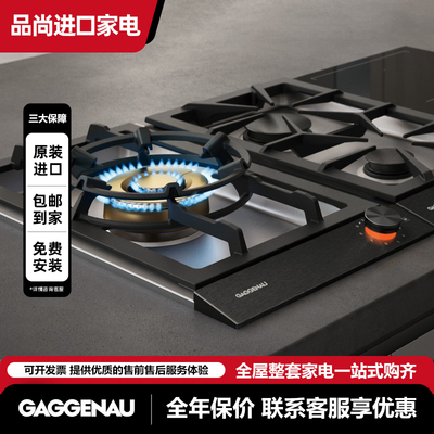嘉格纳燃气灶200嵌入式单眼双眼