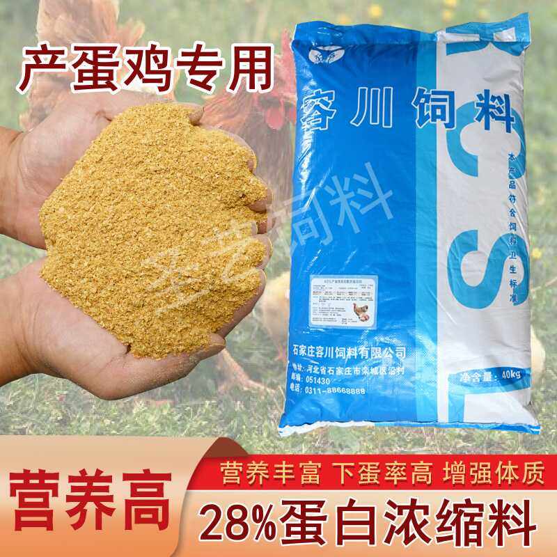 产蛋鸡浓缩饲料下蛋鸡饲料中大鸡家养笨鸡专用料配玉米浓缩鸡饲料