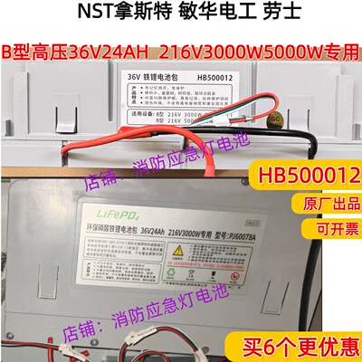 拿斯特36V24AH 216V3000W专用HB500012锂电池PJ60078敏华电工劳士