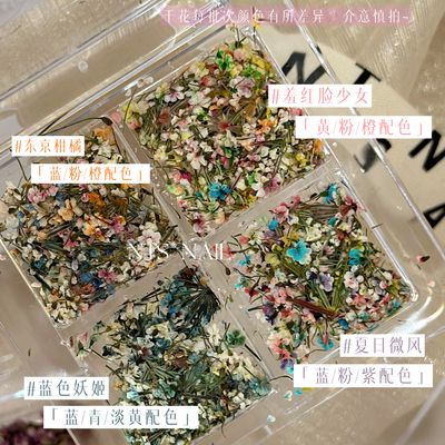 NTS.nail四色美甲干花