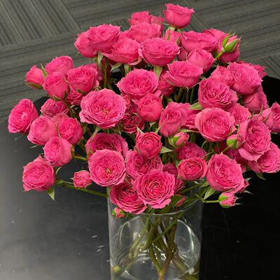 苏菲宝贝多头泡泡小玫瑰云南昆明基地直发同城鲜花花束春节礼物