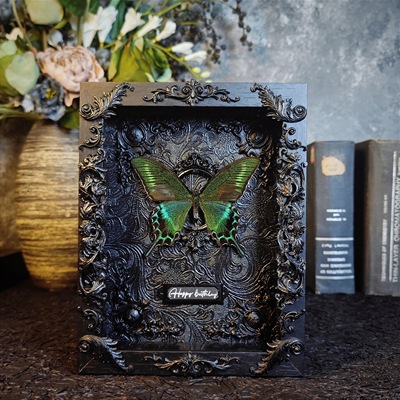 森林绿皇后真蝴蝶标本情侣送礼推荐生日礼物家居摆件复古考研礼物