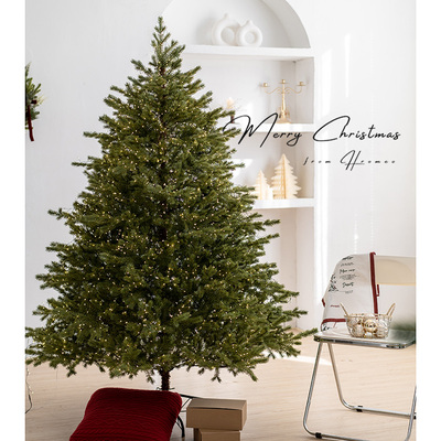 hromeo高级感PE圣诞树ins风