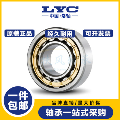 洛阳LYC轴承N/NU/NJ/NF/NUP202 203 204 205 206 207 208 209EM