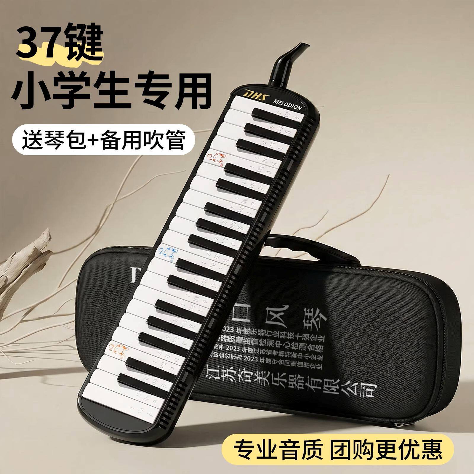 奇美DHS口风琴32键37键小学生专用儿童初学者教学吹奏乐器硬包