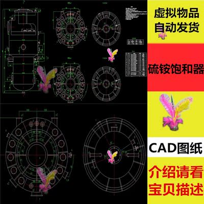 硫铵饱和器CAD设计图纸 机械设备CAD图纸