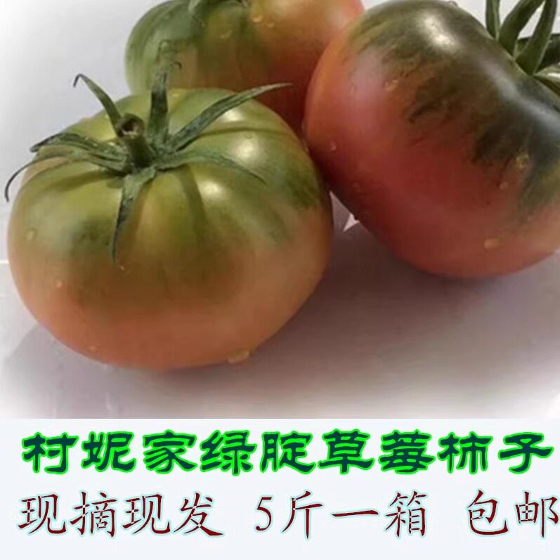 黑龙江村妮蔬菜绿腚草莓柿子新鲜嘎啦番茄自然熟流沙瓤西红柿