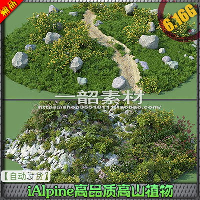 iAlpine高品质高山植物3D模型 花草岩石【3dsmax+maya+fbx】