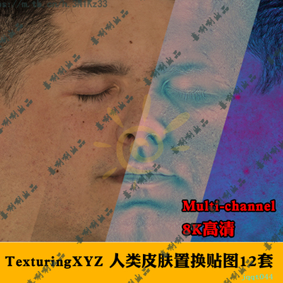 新版Texturing XYZ 12套Multi-channel人类皮肤置换贴图8K 超高清