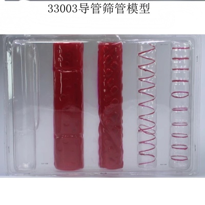 生物实验器材生物教学仪器