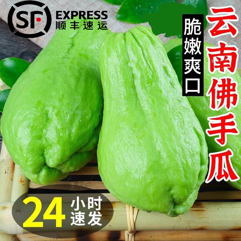 佛手瓜新鲜云南佛手瓜洋瓜丰收瓜洋丝瓜倭瓜寿瓜农家自种蔬菜