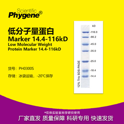 低分子量蛋白质Marker14.4-116kD