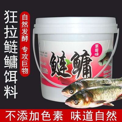 桶装鲢鳙鱼饵花鲢白鲢鱼饵料大头胖头钓饵抛竿水怪钓笼爆炸钩饵料